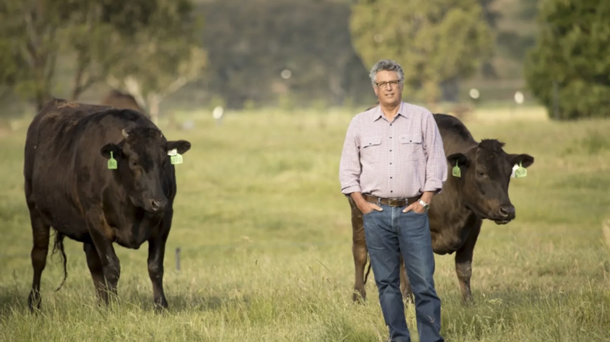 Blackmore Wagyu – Wagyu365